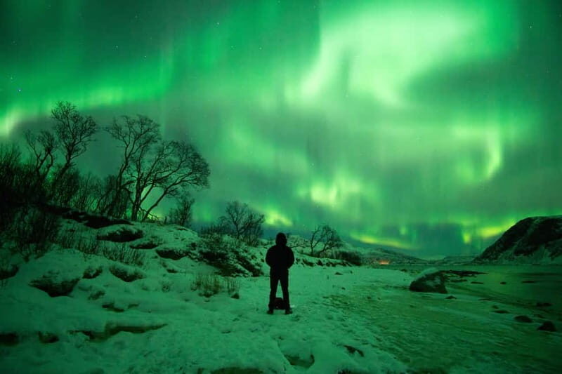 Tromsø: Northern Lights Hunt with Photographer - What to Expect from the Aurora Hunt
