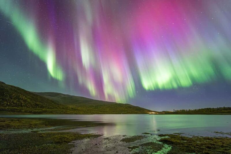 Tromsø: Northern Lights Hunt with Photos and Hot Food - The Waiting Game and Success Rate