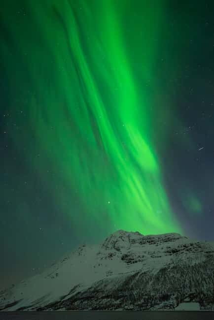 Tromsø: Northern Lights in a Minivan with Free Photos and a Hot Meal - An In-Depth Look at the Tromsø Northern Lights Minivan Tour