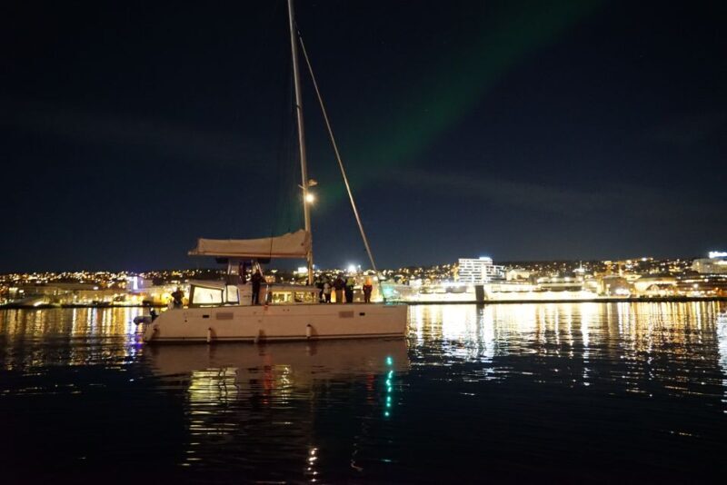 Tromsø: Northern Lights Luxury Catamaran Cruise - Who Should Consider This Tour?  