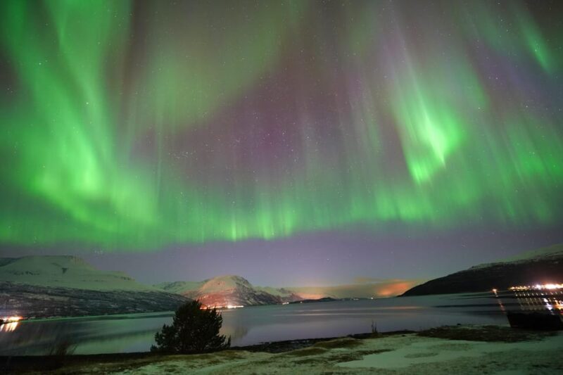 Tromso: Northern Lights Minibus Tour with Campfire - An Authentic Arctic Night with Expert Guides