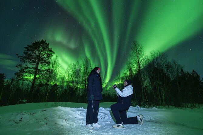 Tromsø: Northern Lights Minibus Tour with Expert Guides - Tromsø: Northern Lights Minibus Tour with Expert Guides — A Clear, Authentic Arctic Adventure
