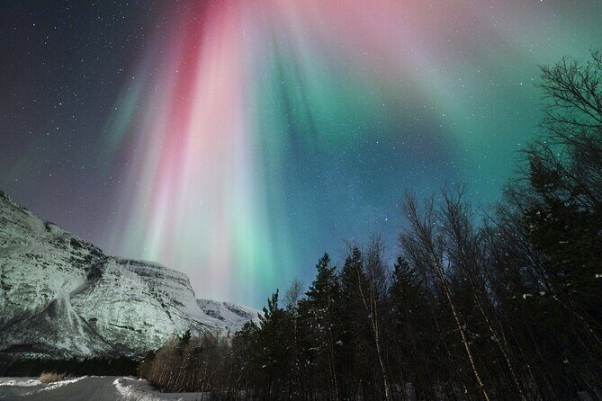 Tromsø: Northern Lights Minibus Tour with Expert Guides - Final Words: Is This Tour Worth It?