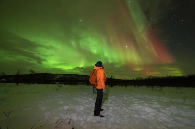 Tromsø: Northern Lights Minibus Tour with Local Experts - Key Points