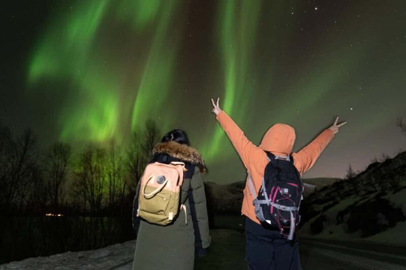 Tromsø: Northern Lights Minibus Tour with Local Experts - The Value for Money