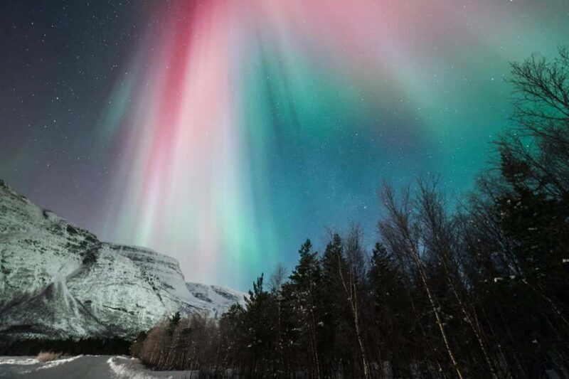 Tromsø: Northern Lights Minibus Tour with Local Experts - Final Thoughts