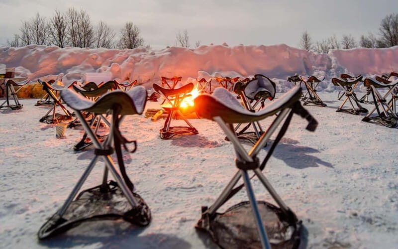 Tromsø: Northern Lights Safari with Expert Guides and Photos - Introduction