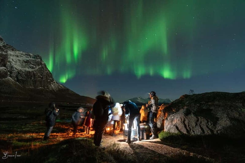 Tromsø: Northern Lights Safari with Expert Guides and Photos - Key Points