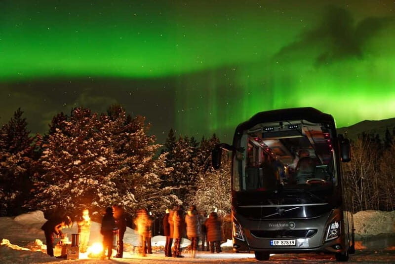 Tromsø: Northern Lights Safari with Expert Guides and Photos - What Makes This Tour Truly Stand Out?
