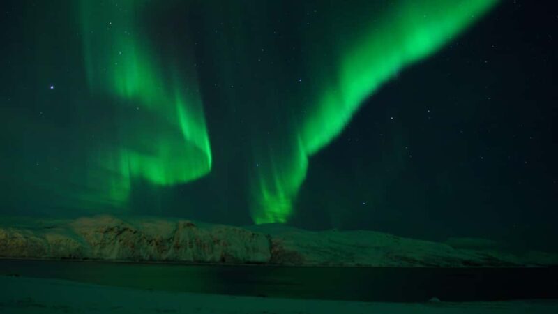 Tromsø: Northern Lights Tour in Glass Minibus with Dinner - A Deep Dive into the Experience