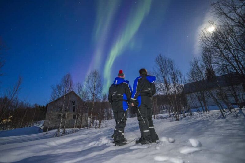 Tromsø: Northern Lights Tour in Glass Minibus with Dinner - Why This Tour Stands Out