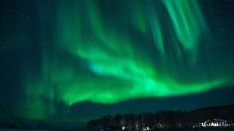 Tromsø: Northern Lights Tour in Glass Minibus with Dinner - Who Should Book This Tour?