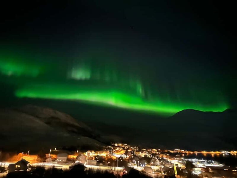 Tromsø: Northern Lights Tour - Key Points
