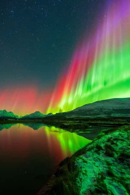 Tromsø: Northern Lights Tour with Campfire - Key Points