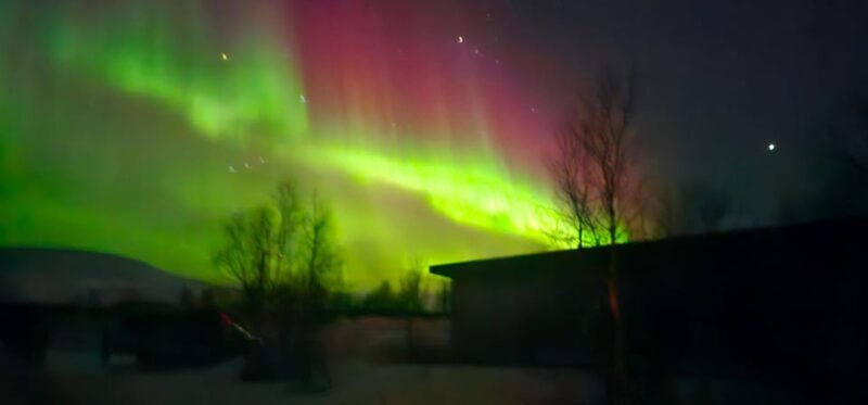 Tromsø: Northern Lights Tour with Campfire - What to Expect from the Tromsø Northern Lights Tour