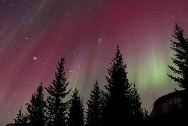 Tromsø: Northern Lights Tour with Dinner and Native Guide - Key Points