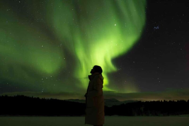 Tromsø: Northern Lights Tour with Dinner and Native Guide - An In-Depth Look at the Northern Lights Tour