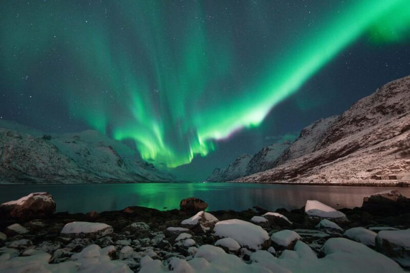 Tromsø: Northern Lights Tour with Local Guide and Photos - The Sum Up