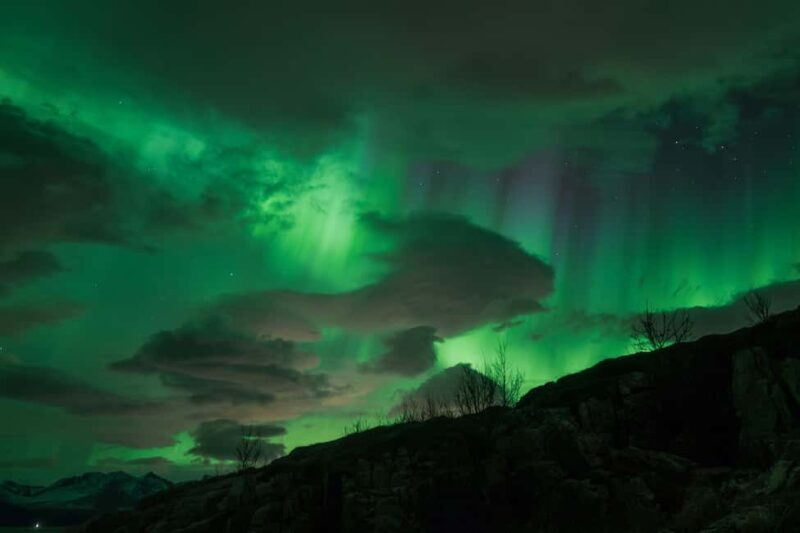 Tromsø: Northern Lights Tour with Local Stories & Photos - Guides and Guest Experience