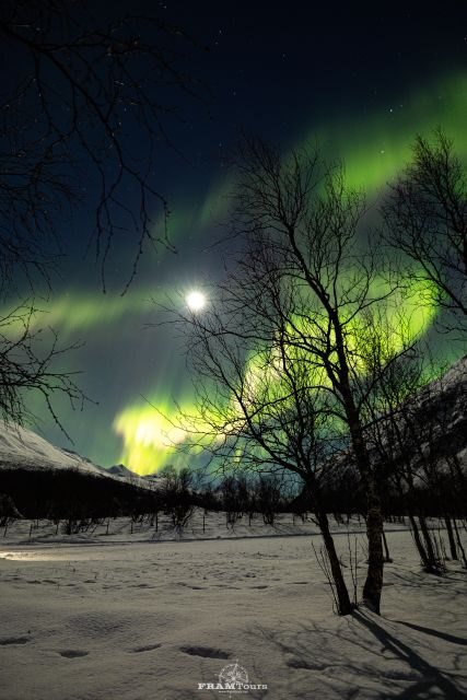 Tromso: Northern Lights Tour with Photographer - Final Thoughts