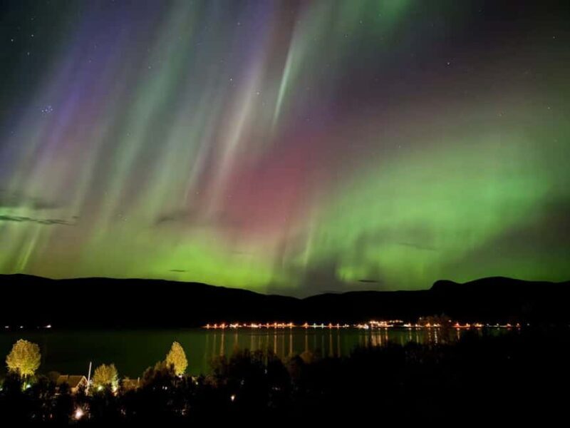 Tromsø: Northern Lights Tour with Photos & Snacks - Authentic Experiences and Unique Insights