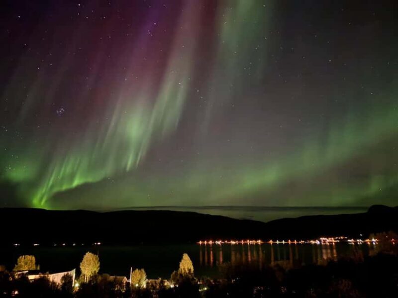 Tromsø: Northern Lights Tour with Photos & Snacks - The Sum Up