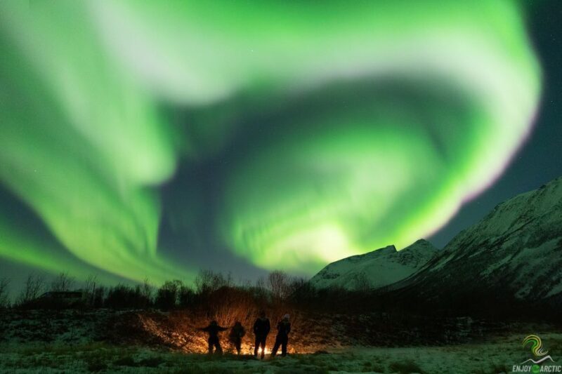 Tromsø: Northern Lights Trip with Campfire and Snacks - Who Is This Tour Best For?