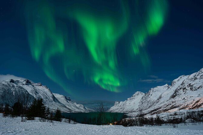 Tromsø Northern Lights with Campfire and Professional Photos - The Value of This Experience