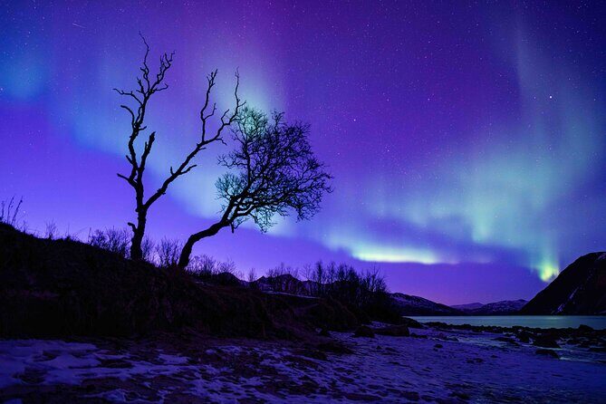 Tromsø Northern Lights with Campfire and Professional Photos - What Reviewers Say