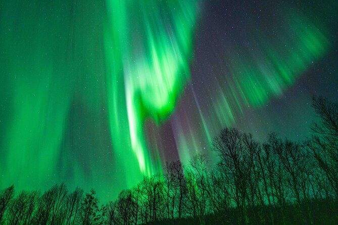 Tromsø Northern Lights with Campfire and Professional Photos - The Sum Up