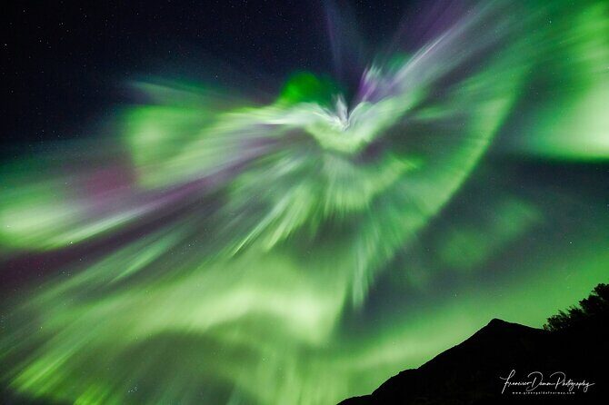 Tromso: Private Aurora Chase by Minivan - Final Thoughts