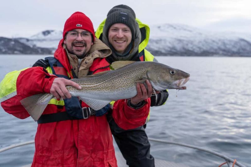 Tromsø: Private Fishing Tour - Key Points