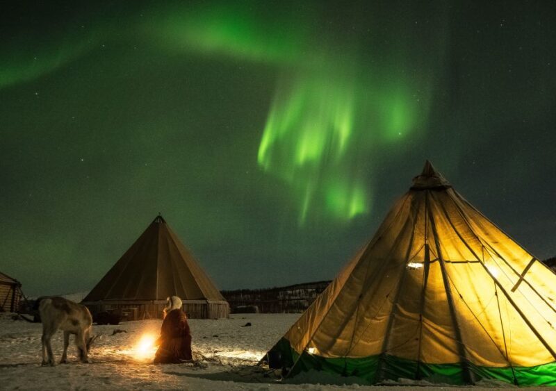 Tromsø: Reindeer Camp Dinner with Chance of Northern Lights - Key Points