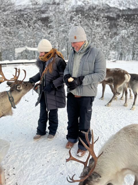 Tromsø: Reindeer Experience at a Sami Camp - The Sum Up