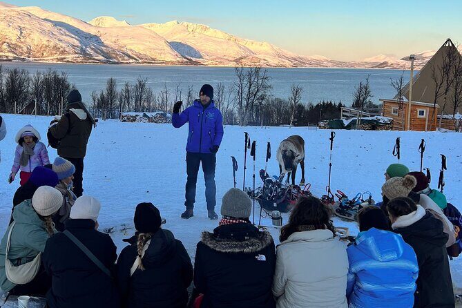 Tromso: Reindeer Feeding and Snowshoeing Tour with Lunch - The Practical Side: What You Need to Know