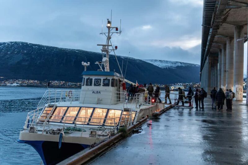 Tromsø: Responsible Whale Watching Cruise Aboard MS Alba - Who Should Consider This Tour?