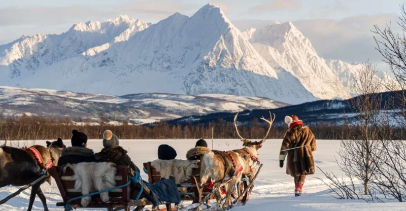 Tromsø: Sámi Reindeer Sledding and Sami Cultural Tour - Who Will Love This Tour?