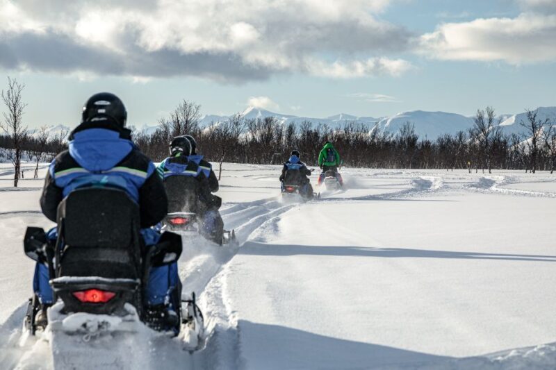 Tromsø: Scenic Arctic snowmobile safari in the Lyngen Alps - The Full Experience: What to Expect