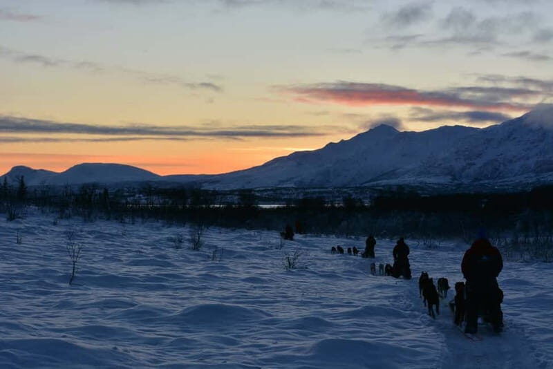 Tromsø: Self-Drive Husky Dog Sledding Adventure - FAQ