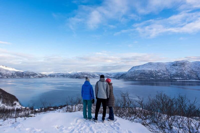 Tromsø: Senja Fjord Tour in Chinese/English Small-Group - Exploring Iconic Viewpoints and Hidden Gems