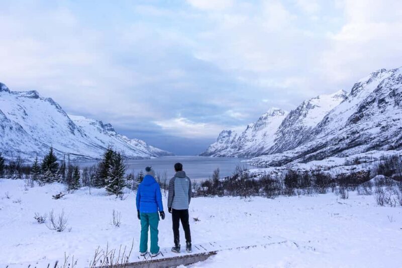 Tromsø: Senja Fjord Tour in Chinese/English Small-Group - Who Will Love This Tour?