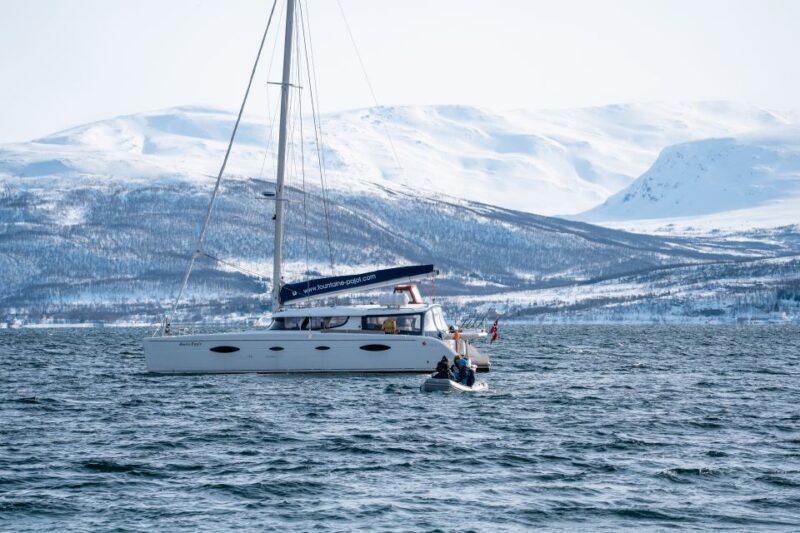 Tromso: Sightseeing Cruise by Catamaran with Snacks & Drinks - Practical Details