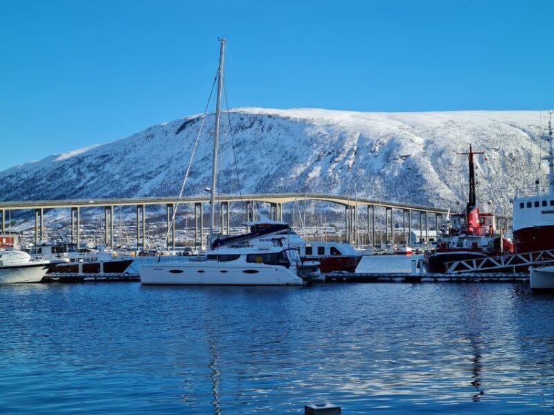 Tromso: Sightseeing Cruise by Catamaran with Snacks & Drinks - Who Is This Tour Perfect For?