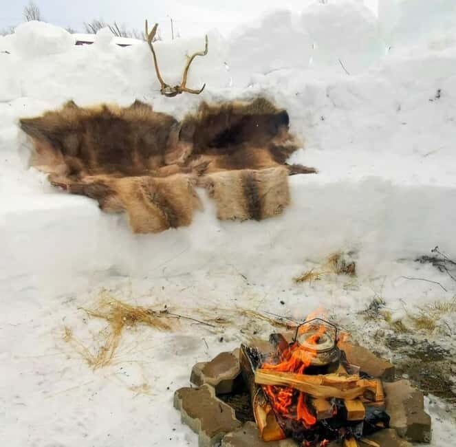 Tromsø: Sledding, Toboggan, Mini Skiing, Lasso & Arctic Fun - Authentic and Fun—What Really Makes It Stand Out