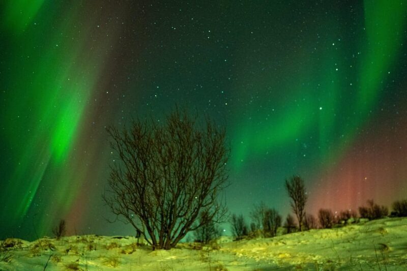 Tromsø: Small-Group Adventurous Northern Lights Hunt - An In-Depth Look at the Tromsø Northern Lights Tour