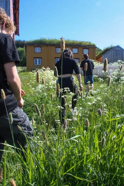 Tromsø: Small group Fjord Adventure, by Local - FAQs