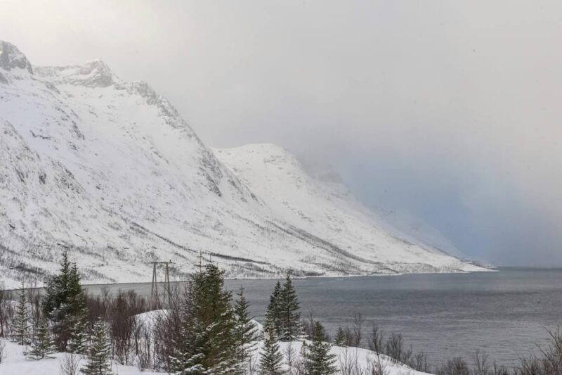 Tromsø: Small-Group Northern Lights Chase by Van with Photos - Final Thoughts: Who Should Consider This Tour?