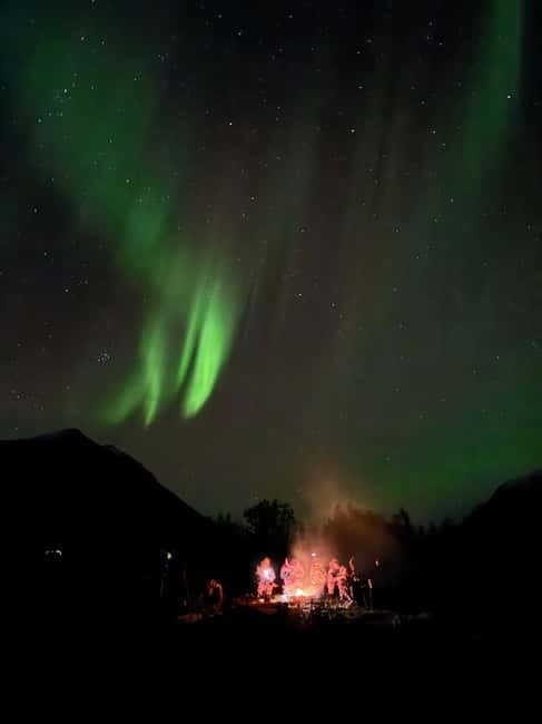 Tromsø: Small-Group Northern Lights Tour by Minibus - The Value & Pricing