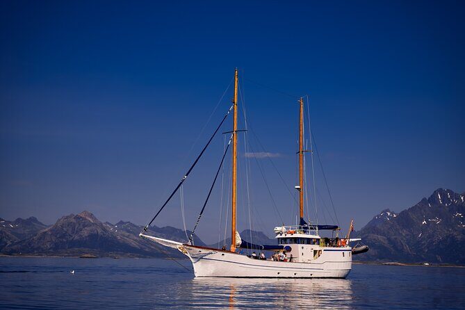 Tromsø Small Group Sea-to-Table Fishing Trip - Who Should Consider This Tour?