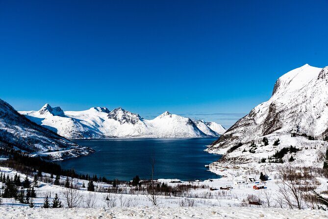 Tromso-Snowshoeing Excursion to Viewpoint - How the Tour Works